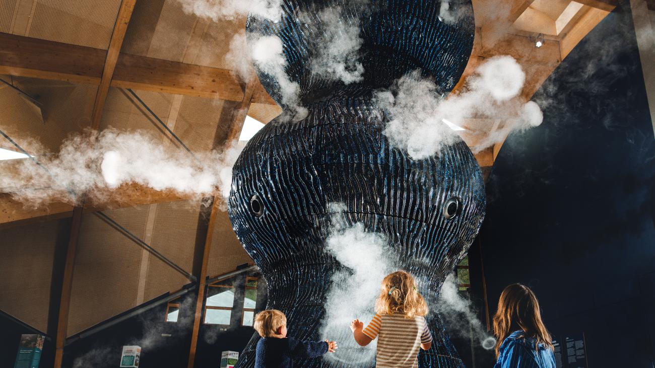 What's on | Eden Project