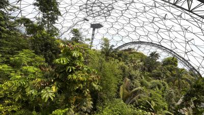 Maps of the Eden Project | Eden Project